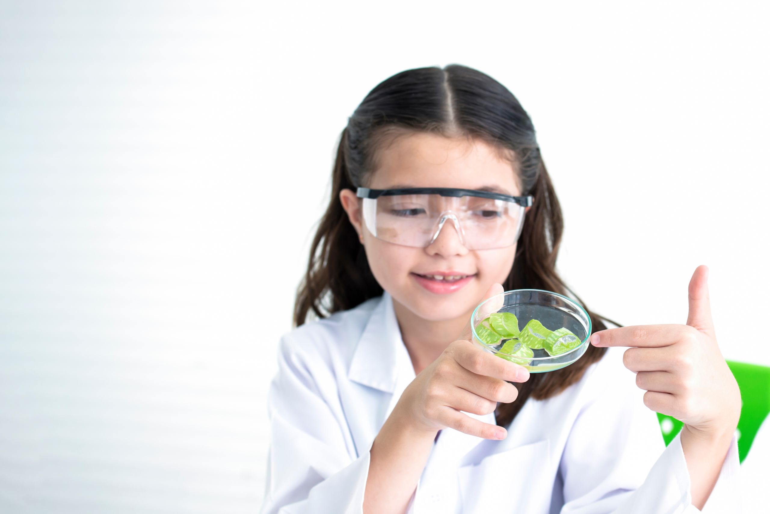 Micro-monsters om je heen - De Kubus Lelystad