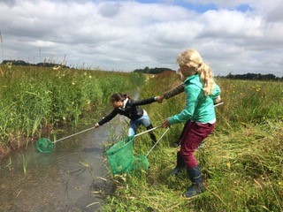 Natuurwijs - De Kubus Lelystad